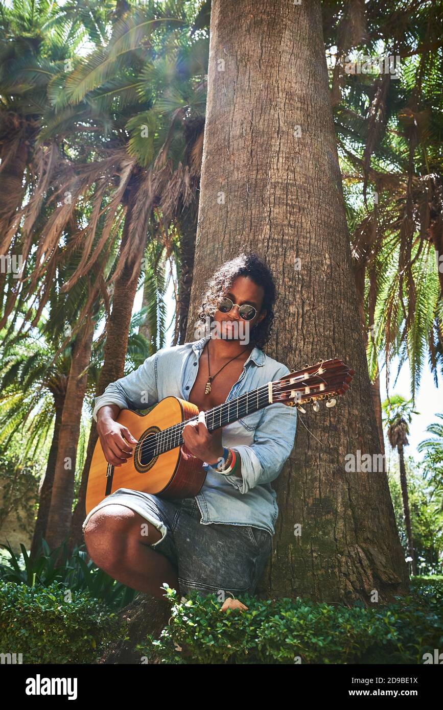 Guitar and music under a tree hi-res stock photography and images - Alamy