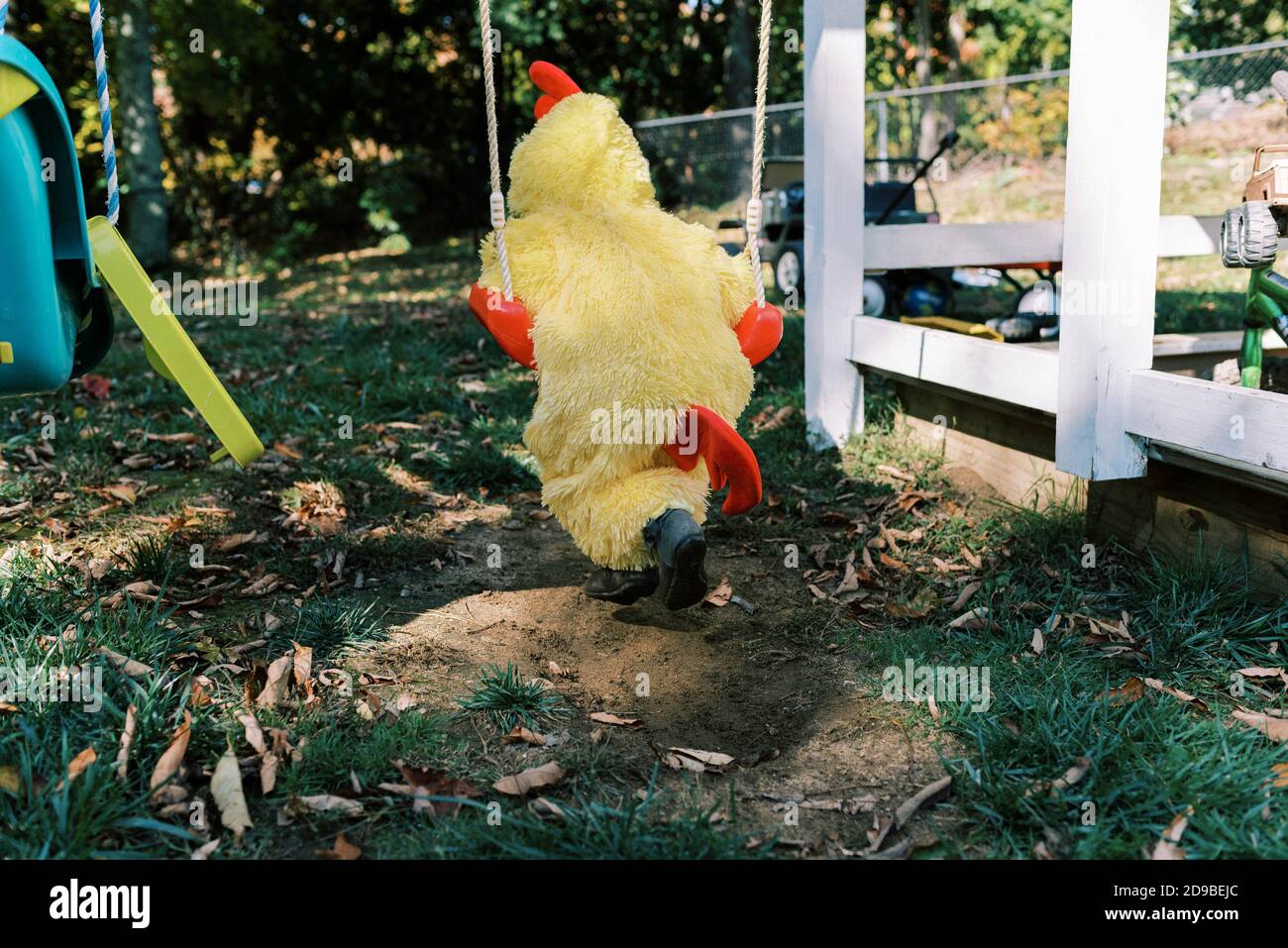 Rooster scream hi-res stock photography and images - Alamy
