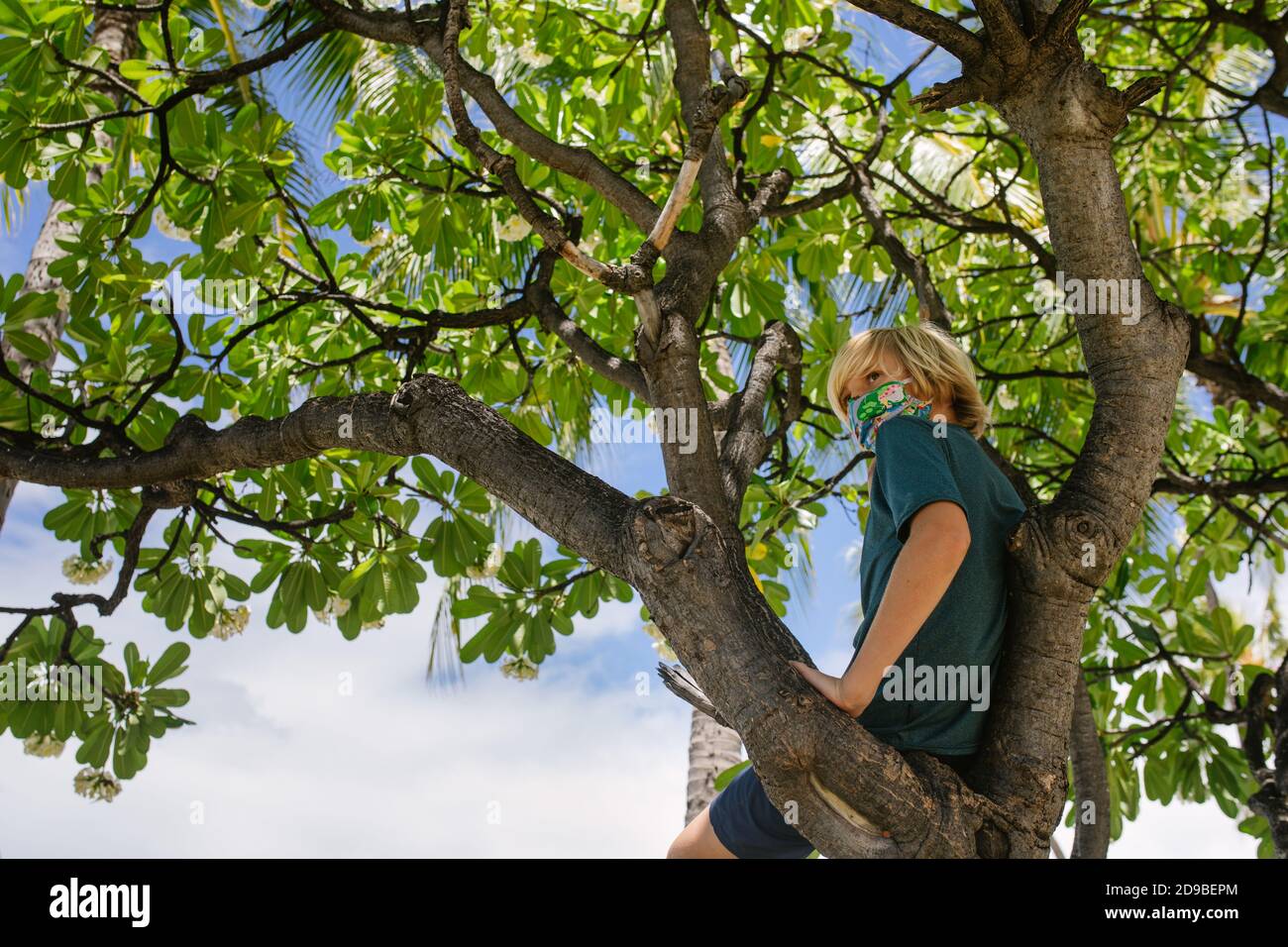Caucasian boy wearing a mask hi-res stock photography and images - Alamy