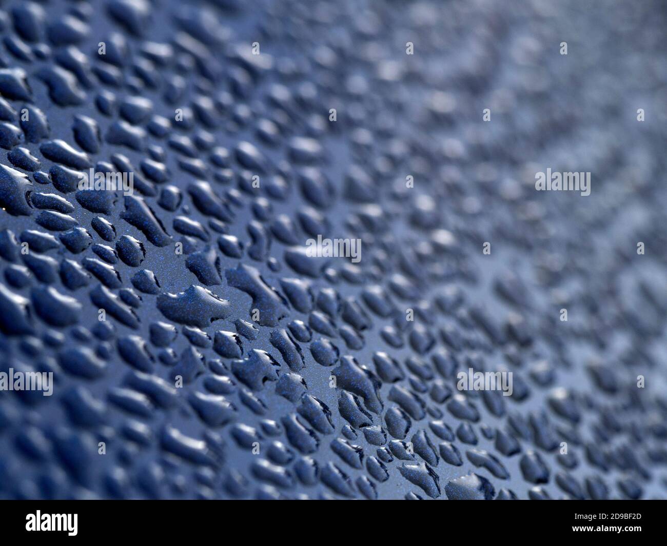 dew water drops on blue metallic surface detail Stock Photo - Alamy
