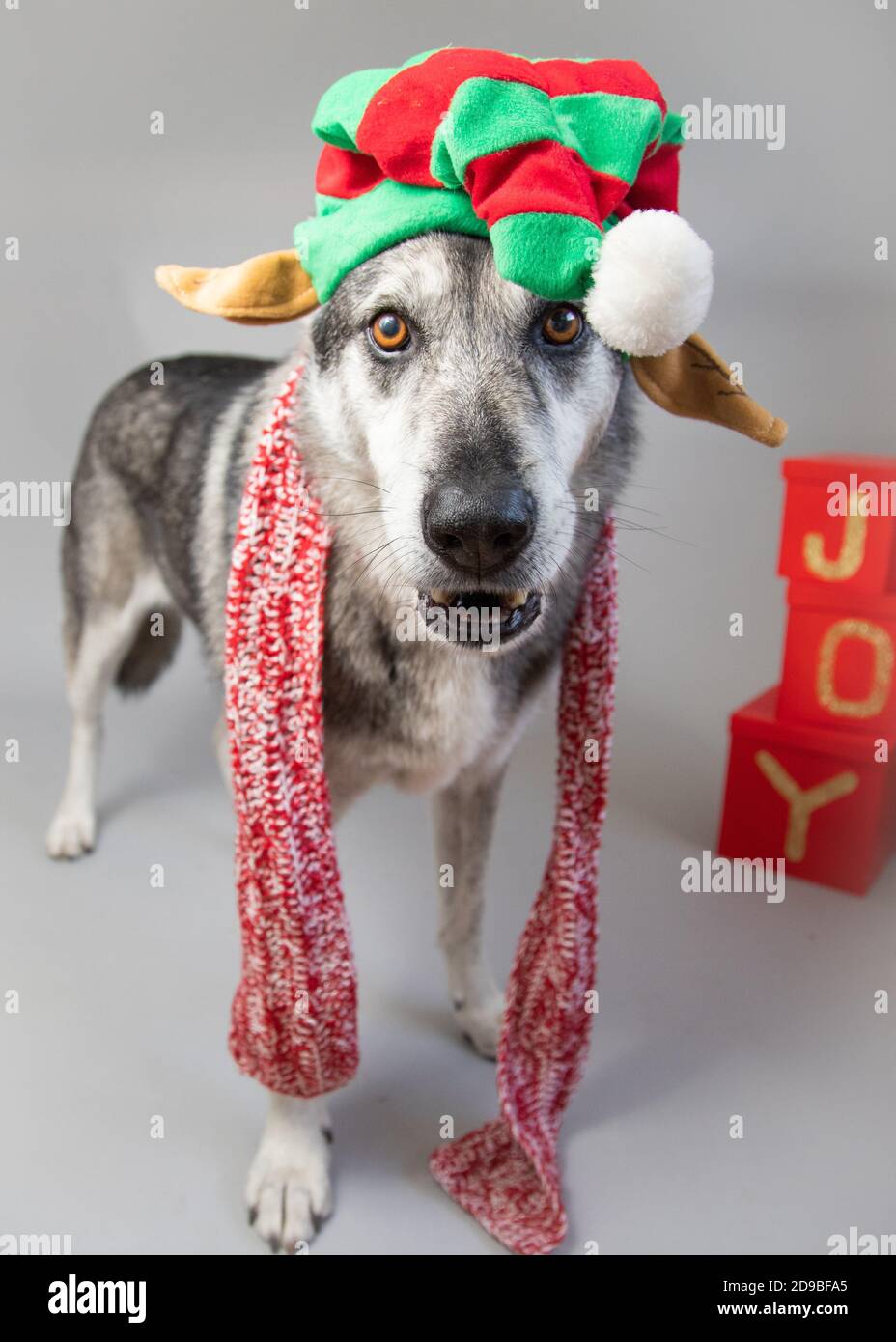 Elf hat hi-res stock photography and images - Alamy