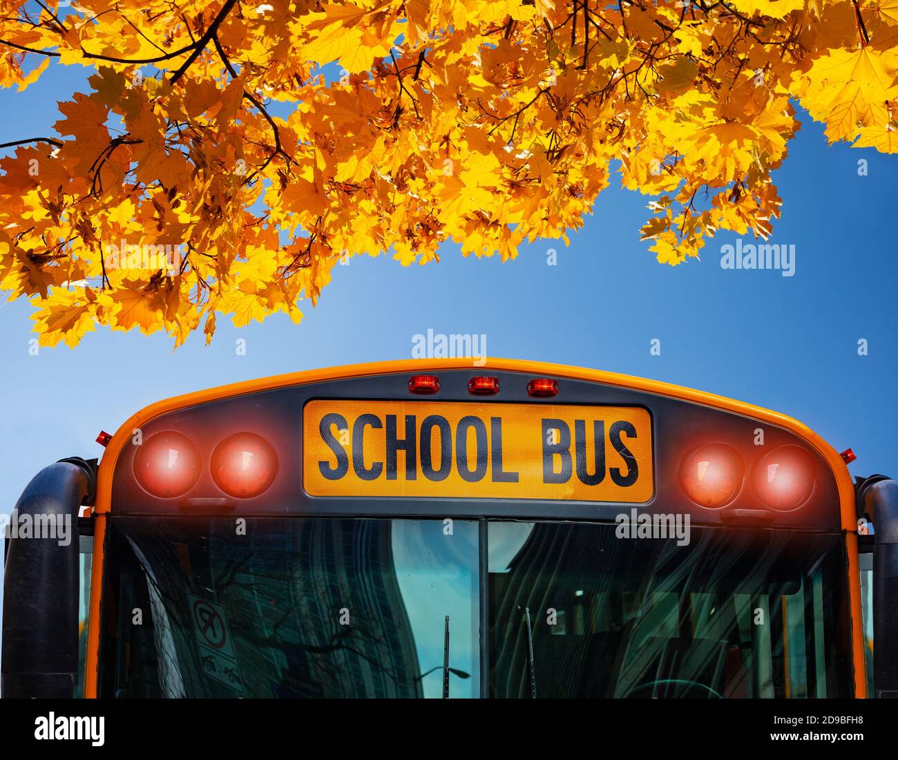 Back to school concept, bus with orange maple autumn leaves over sky ...