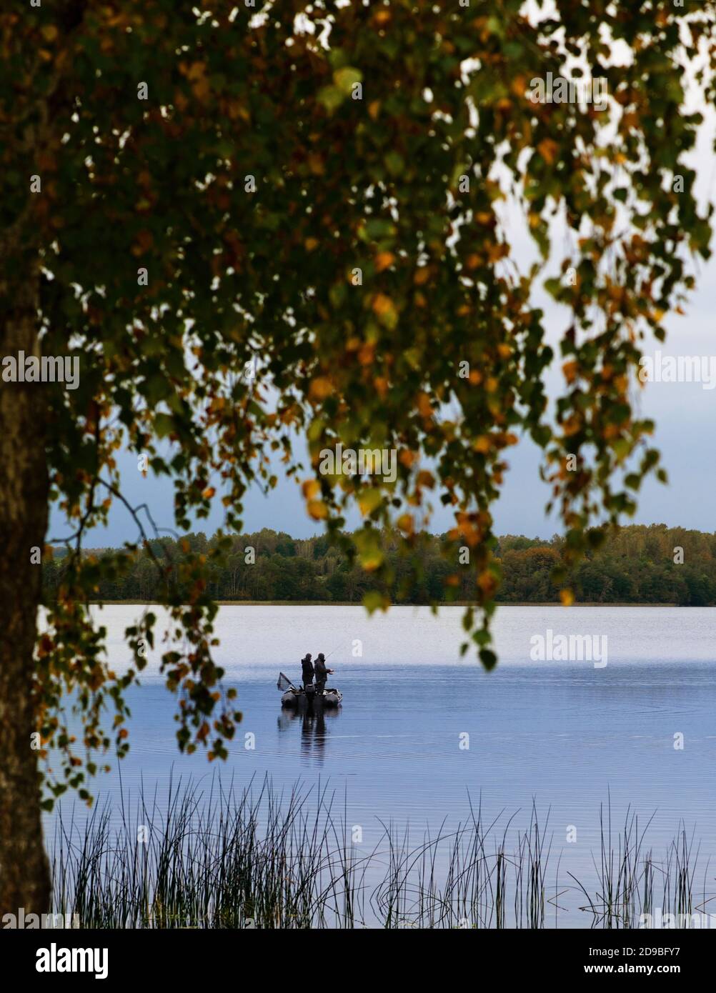 Two men standing in a boat fishing, Lithuania Stock Photo - Alamy
