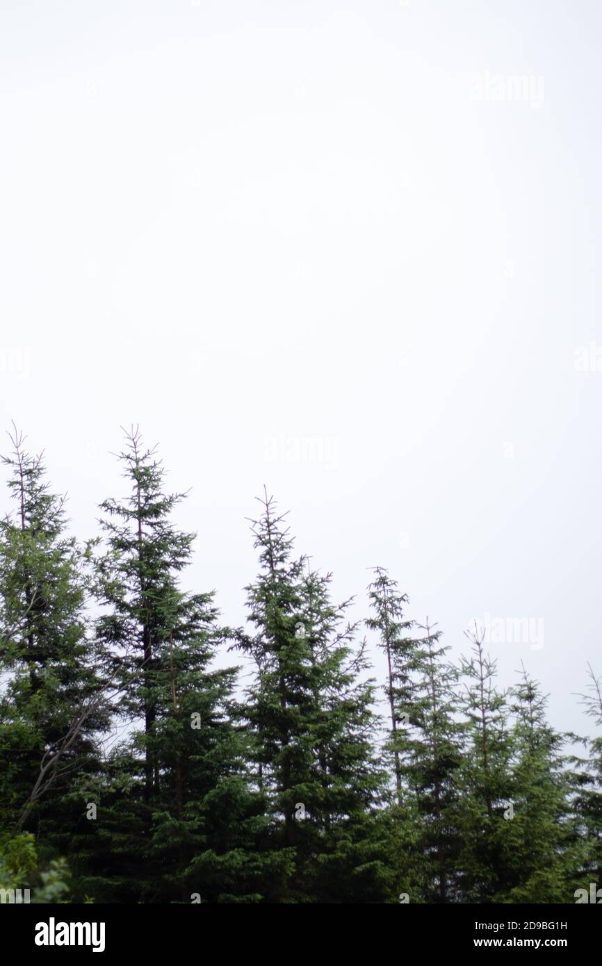 Mysterious cone hi-res stock photography and images - Alamy