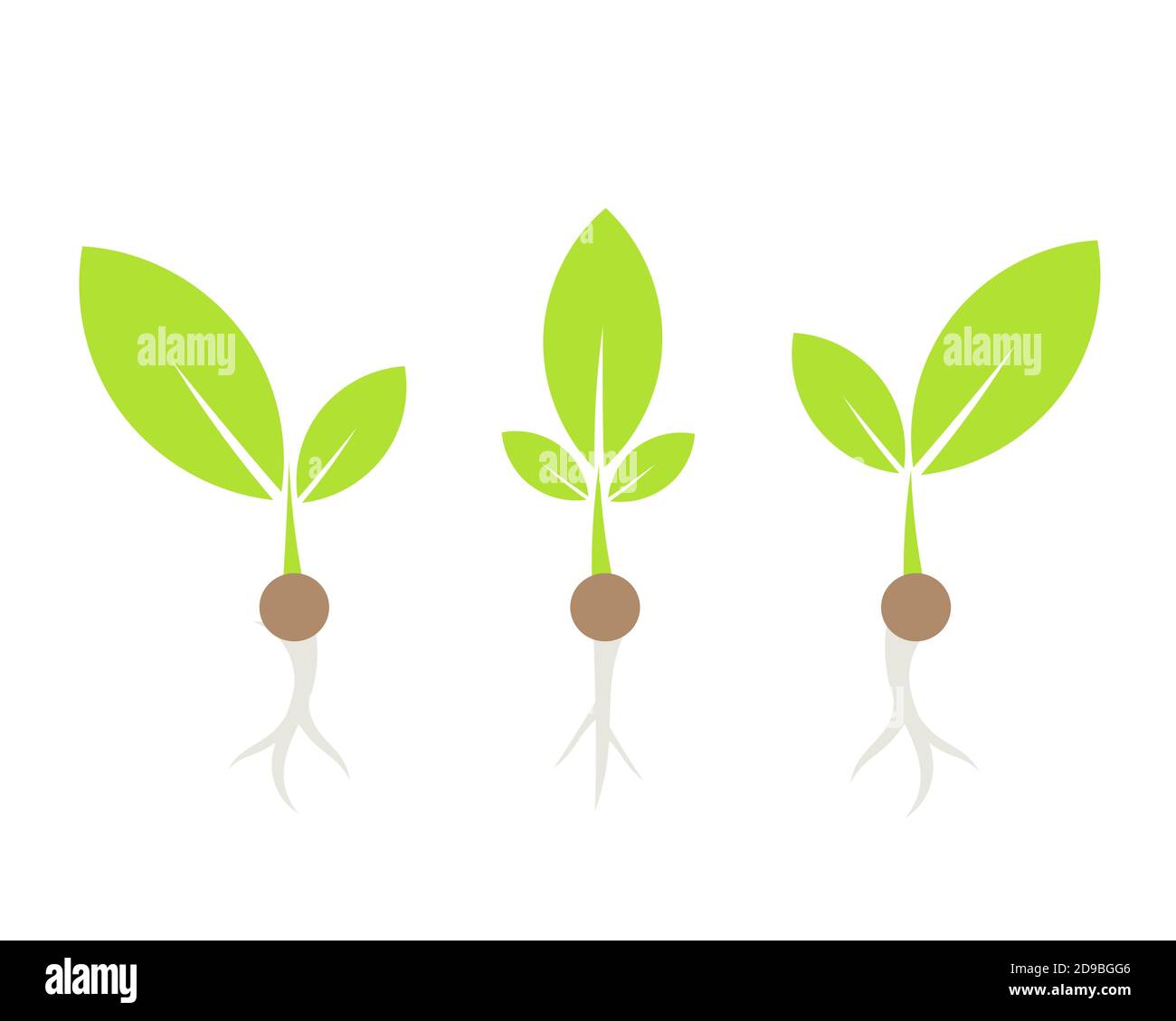 Three little plants. Vector illustration Stock Vector Image & Art - Alamy