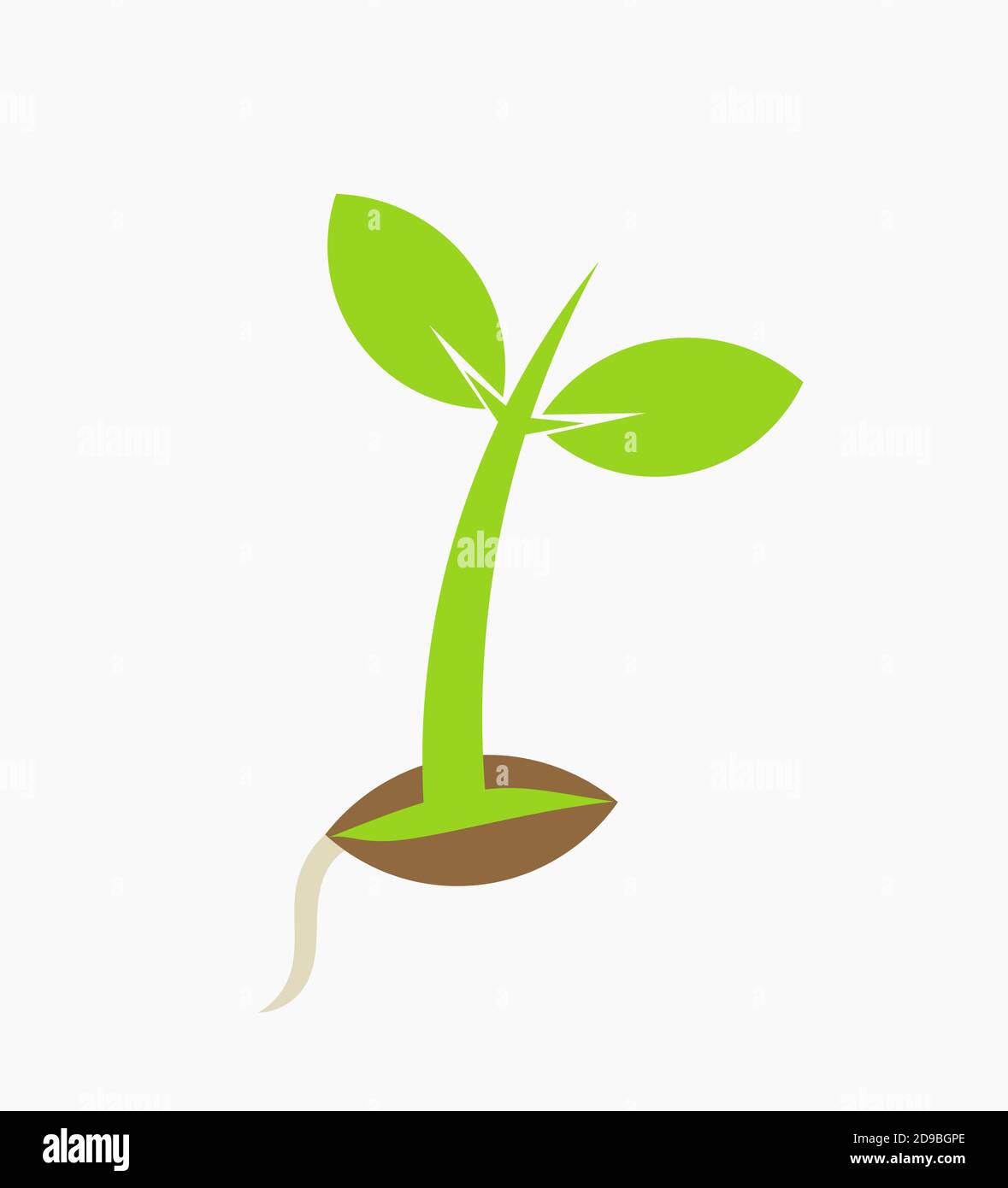 Young plant seedling germination. Vector illustration Stock Vector ...