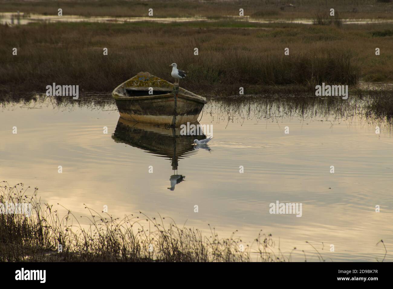 Douro river estuary nature hi-res stock photography and images - Alamy
