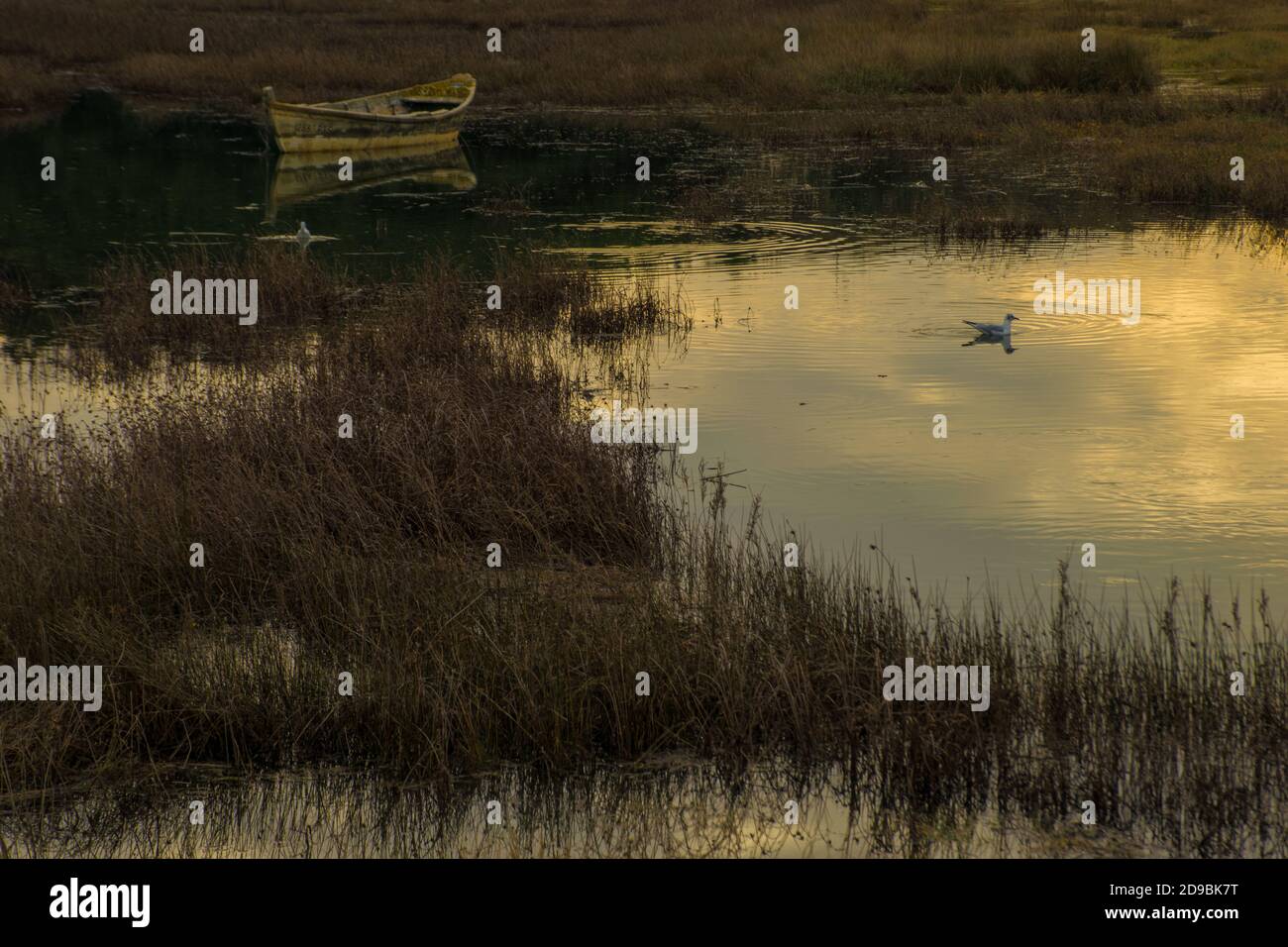 Porto douro estuary nature reserve hi-res stock photography and images ...