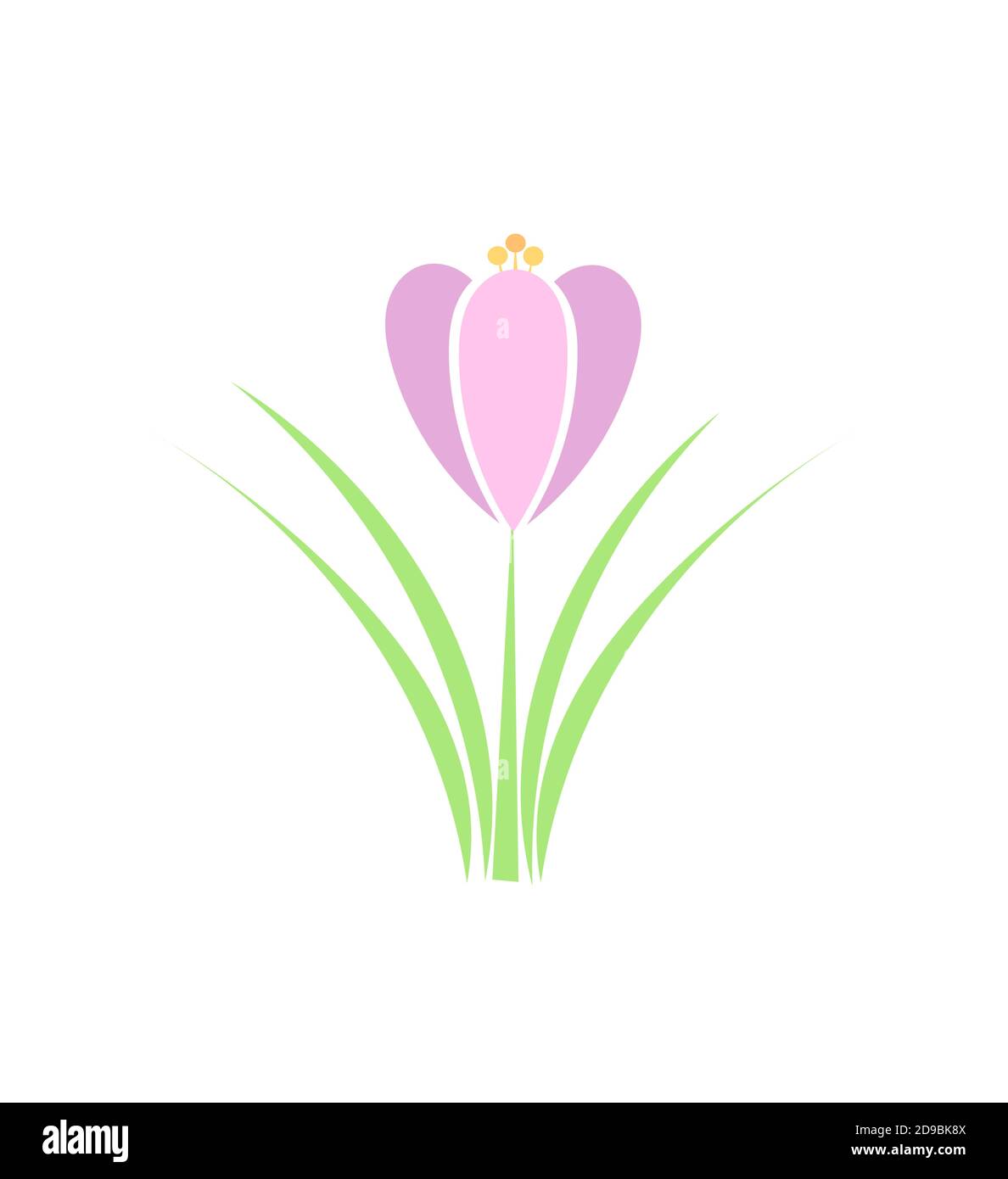 Spring Crocus flower. Vector illustration Stock Vector Image & Art - Alamy