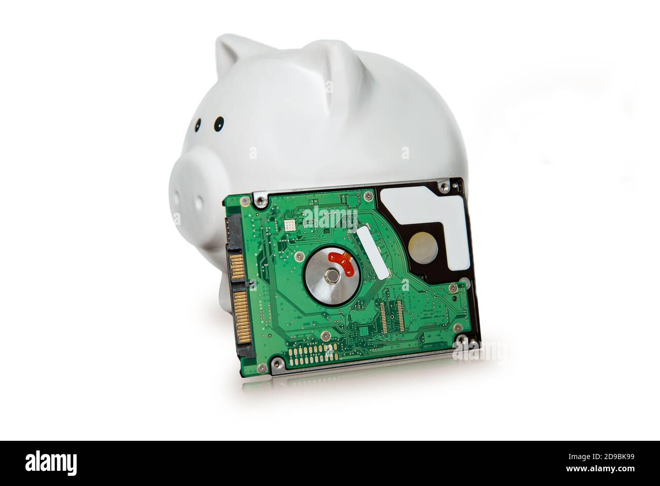 hard disk in piggy bank isolated on white background with clipping path ...