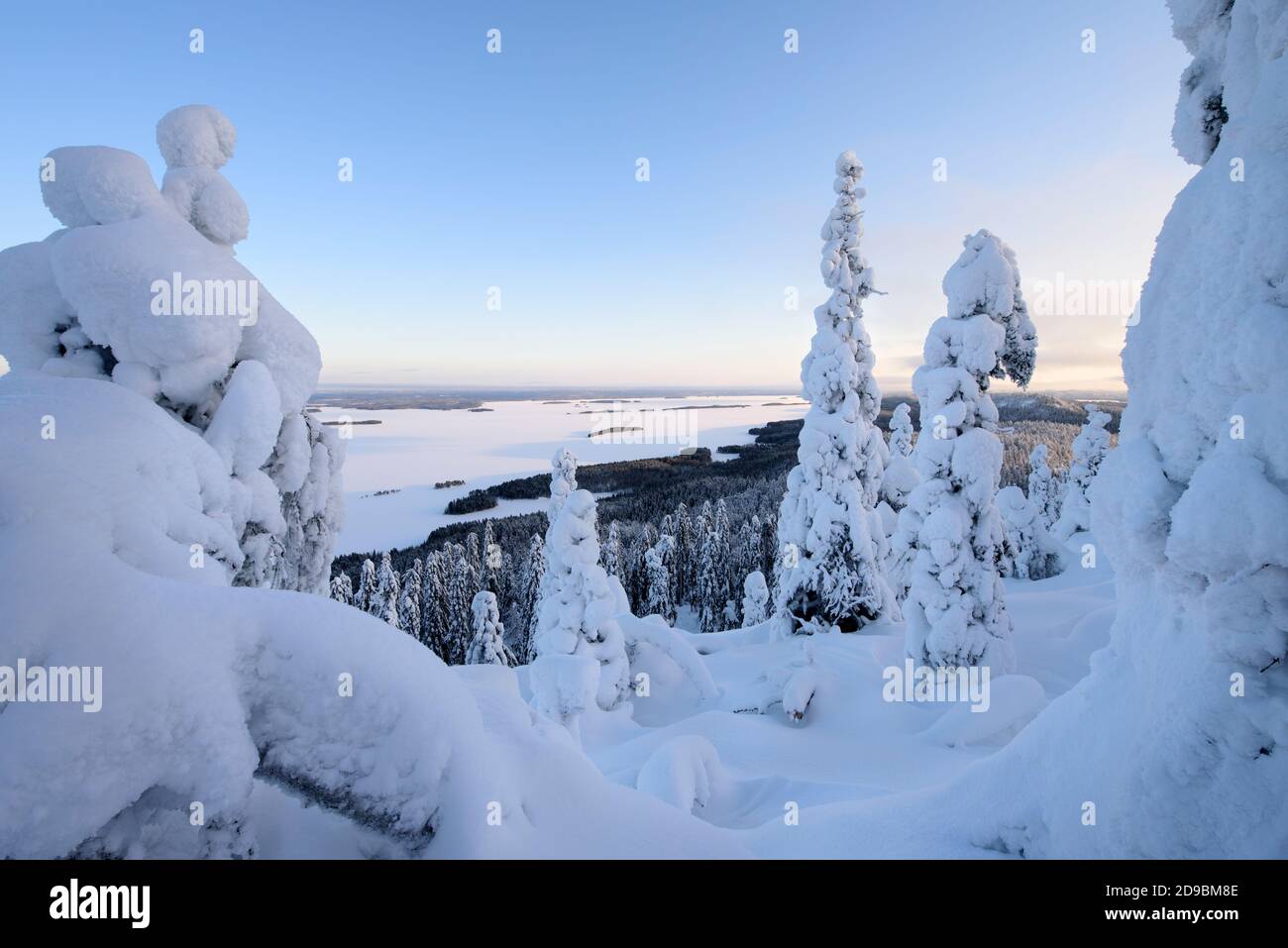 Winter landscape in Koli National Park, Finland Stock Photo - Alamy