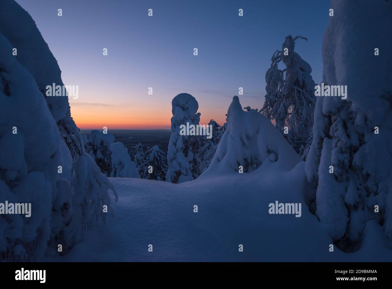Snowy winter landscape in Koli National Park, Finland Stock Photo - Alamy