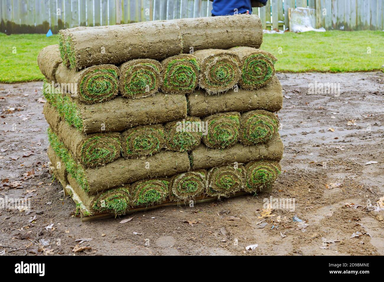 Stack of turf grass rolls a lawn fresh grass to decorate landscape ...