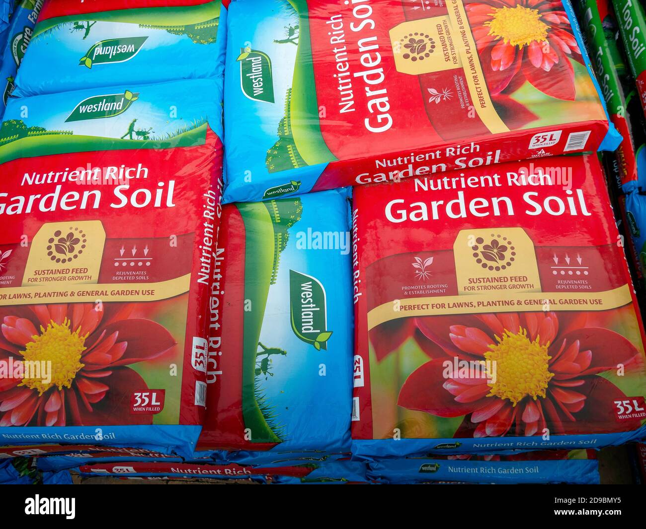 Rich flora hi-res stock photography and images - Alamy