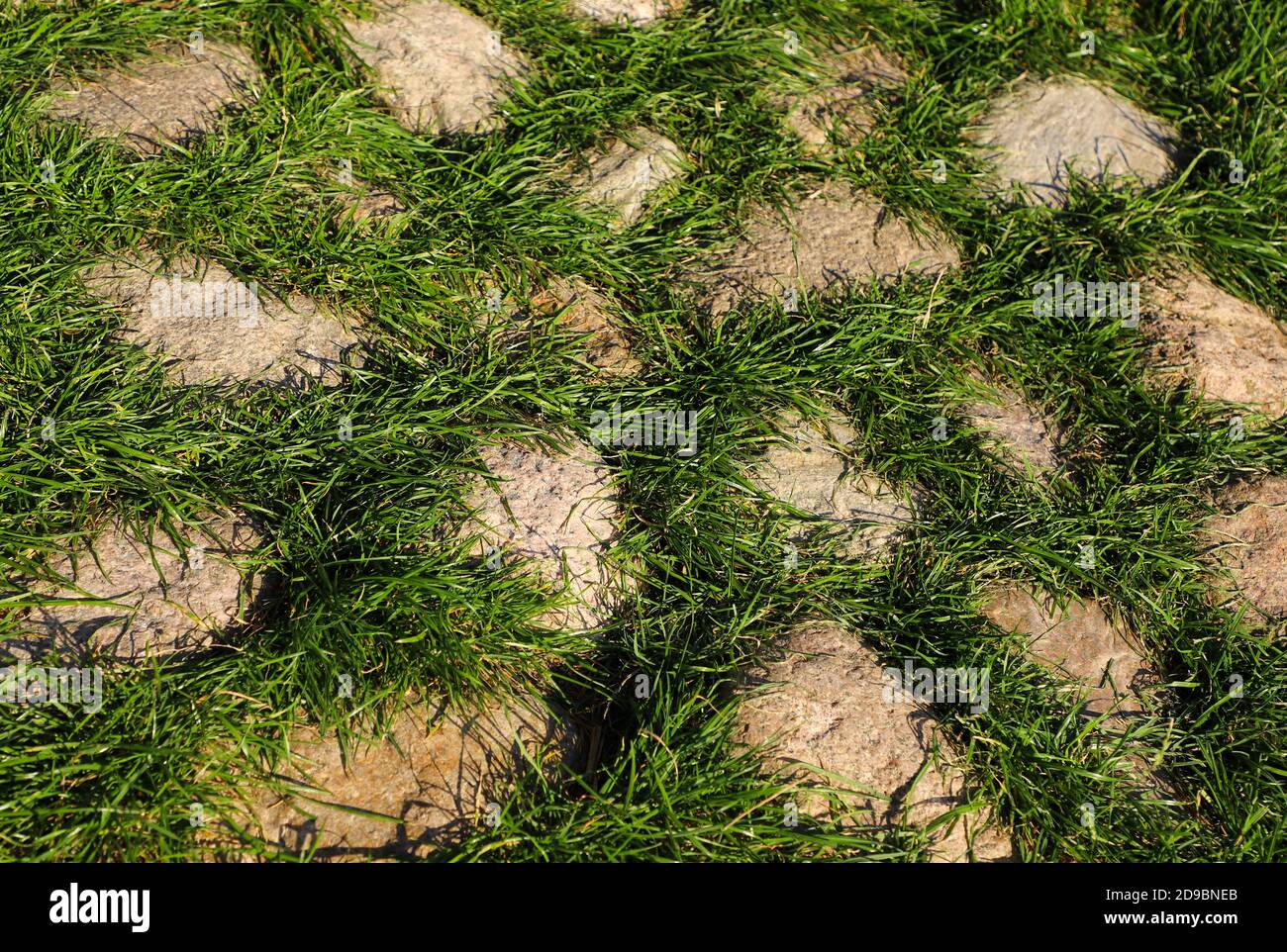Old pavemnet in a park, rocks and pebbles with grass around, texture ...