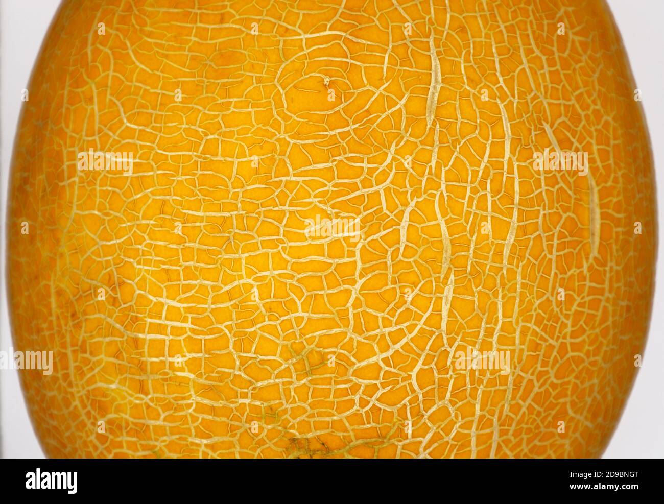 Nutrist hi-res stock photography and images - Alamy