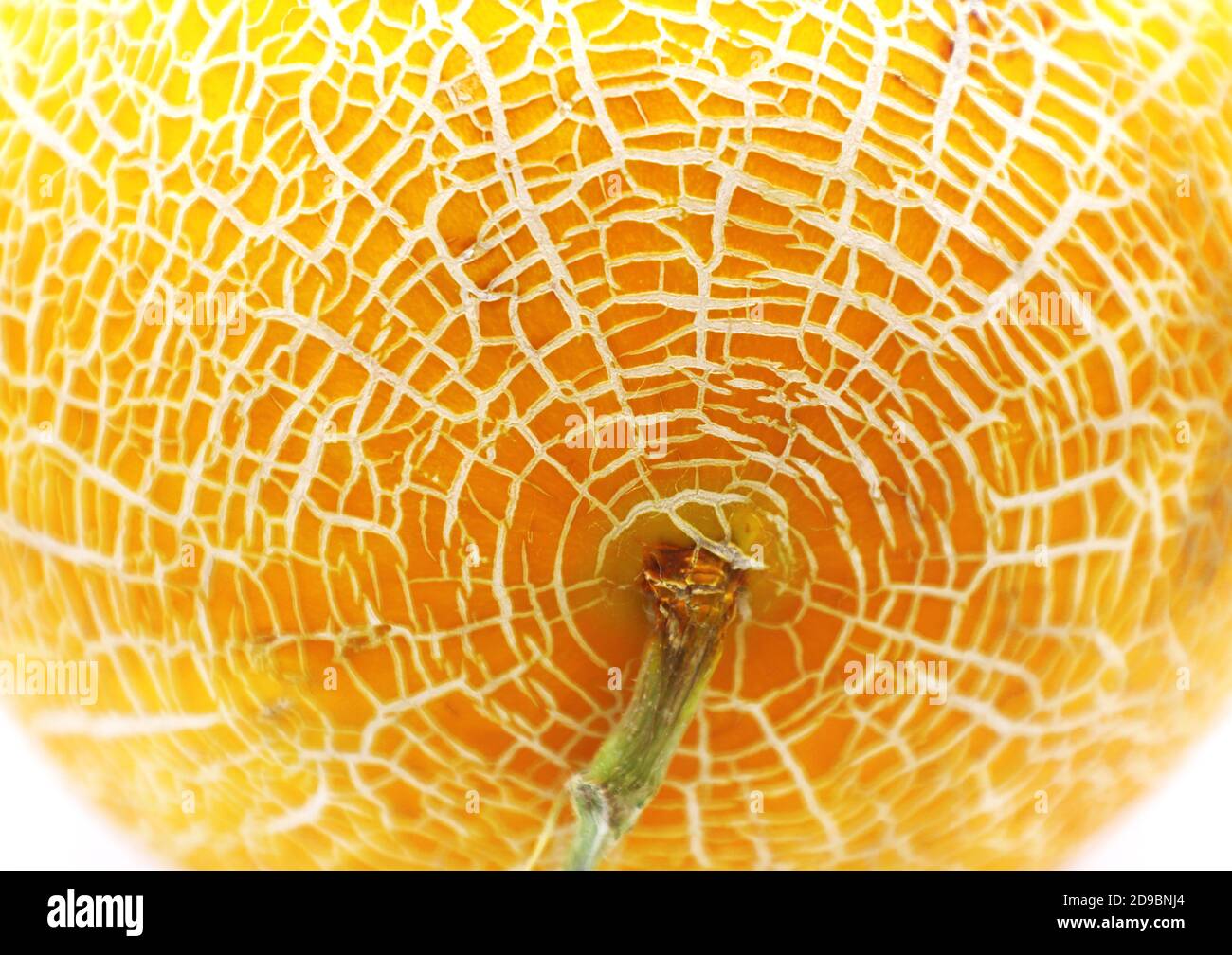 Watermelon stomach hi-res stock photography and images - Alamy