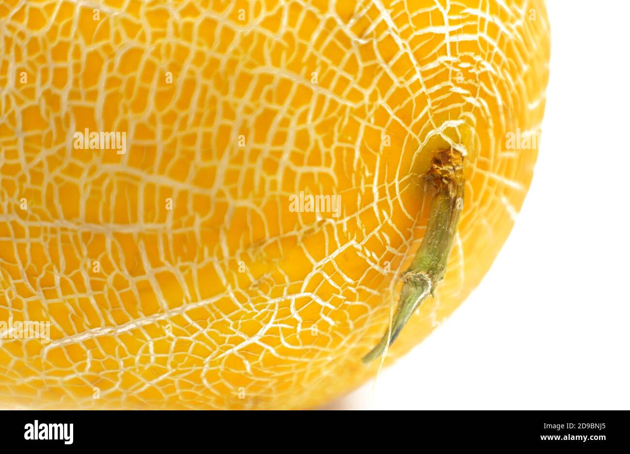 Watermelon stomach hi-res stock photography and images - Alamy