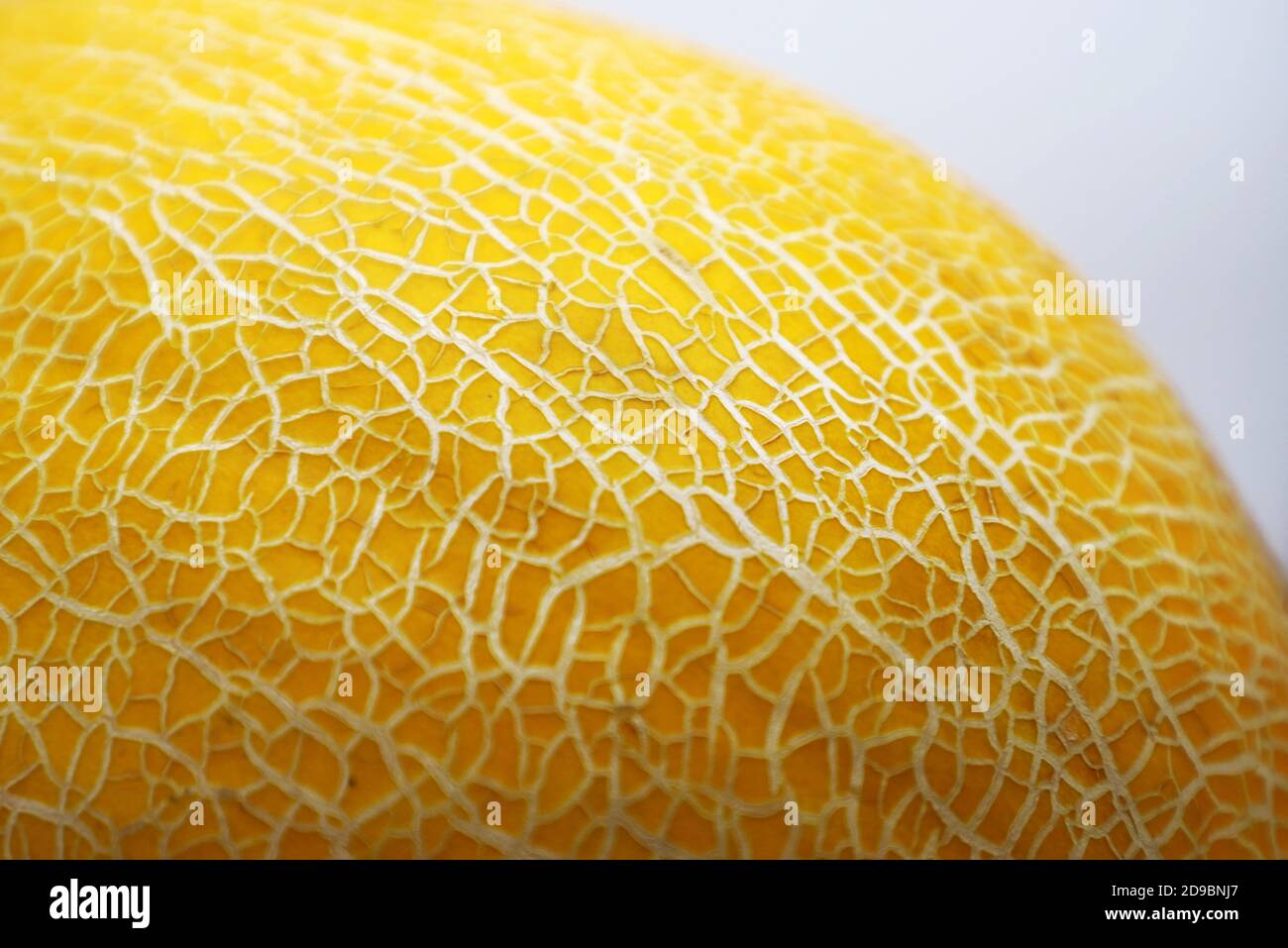 Musk melon or cantaloup melon, yellow and white pattern, close up ...