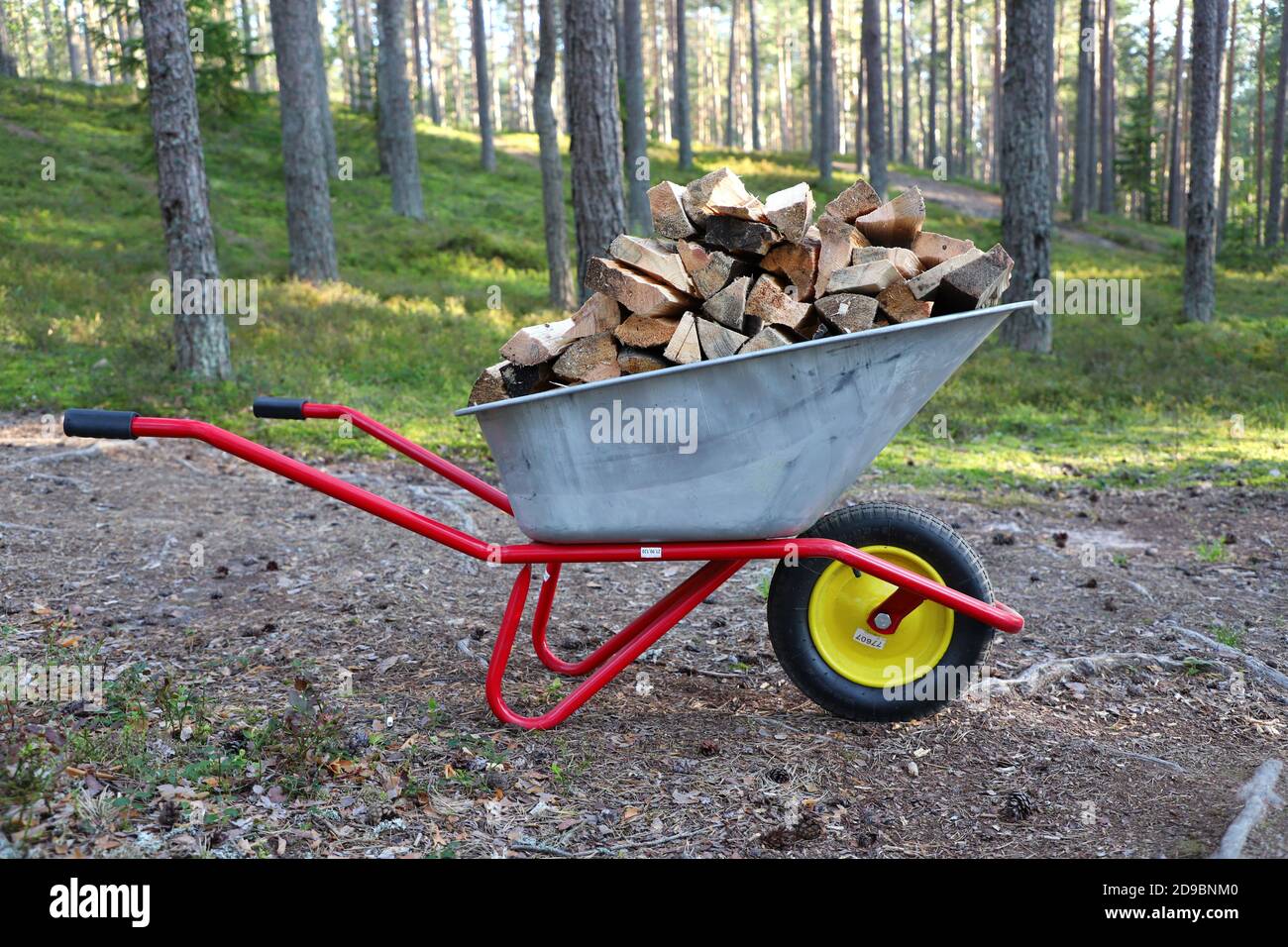 Pile of wood in a wheel-barrow in the forest. Barrow-load, firewood ...