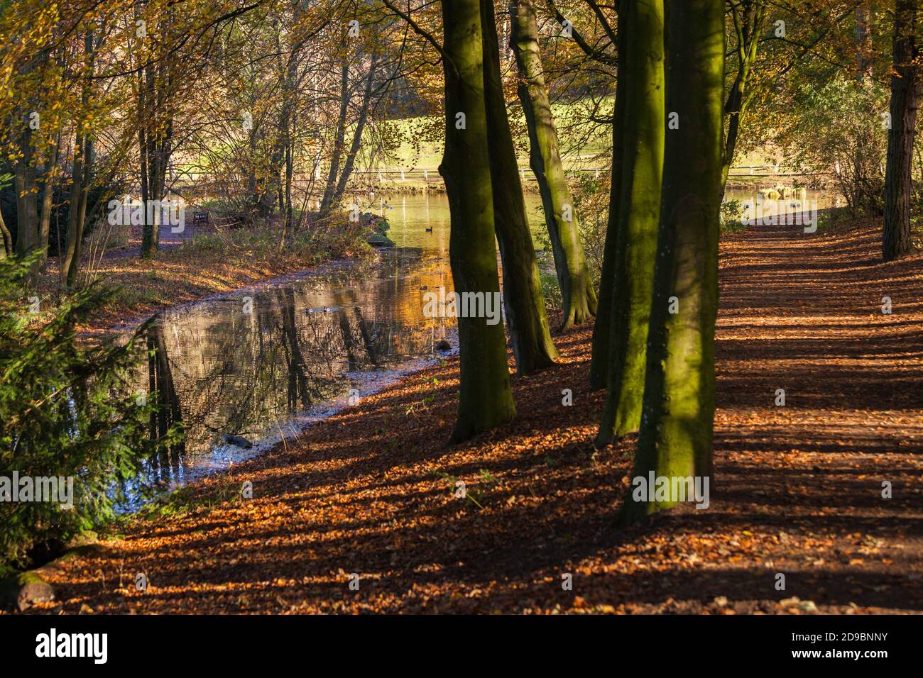 Colourful pathway hi-res stock photography and images - Alamy