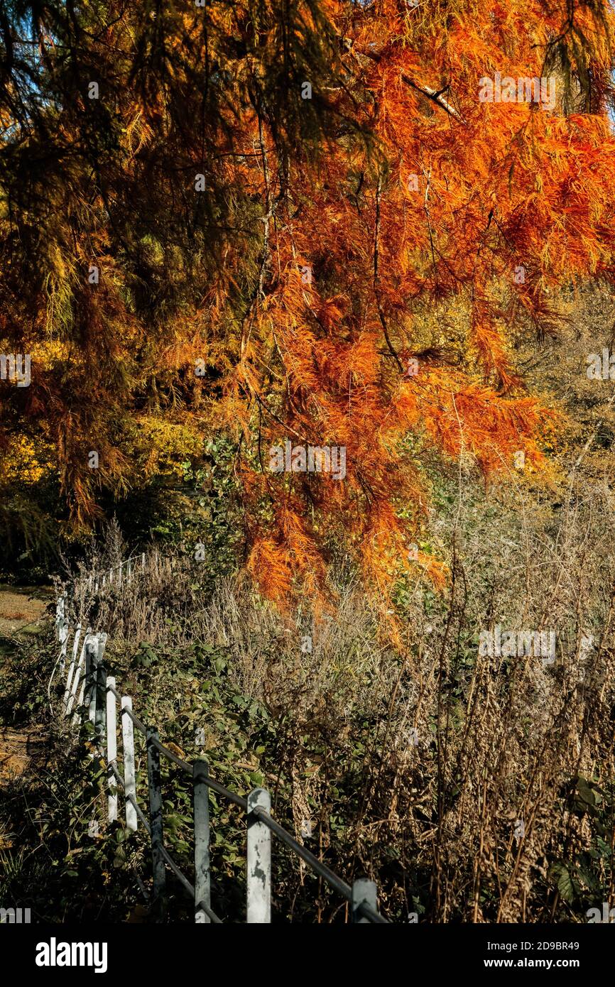 Open heath hi-res stock photography and images - Alamy