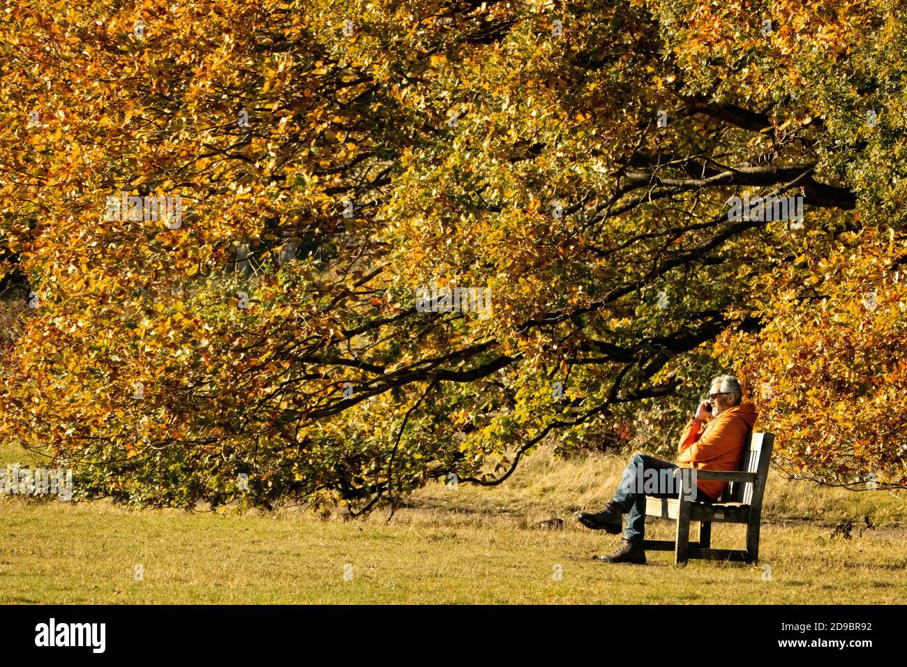 People enjoying Hampstead Heath in Autumn Stock Photo - Alamy