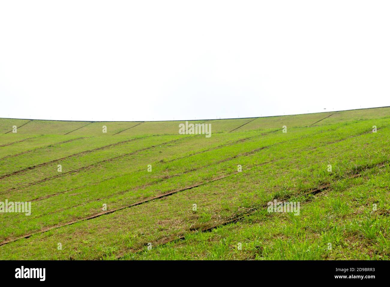 Beautiful meadow from the Banasura sagar dam in Western Ghats, Kerala ...