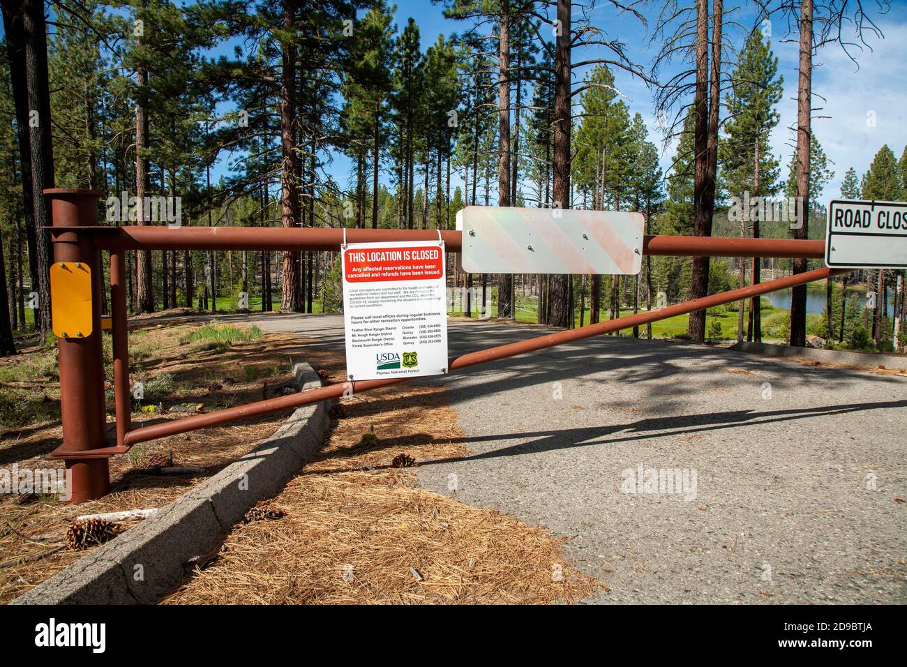 PLUMAS COUNTY, CALIFORNIA - MAY 26, 2020 - Long Point Campground at ...