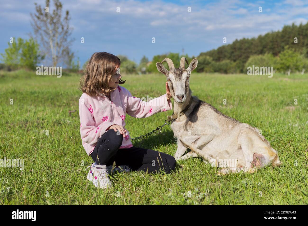 Child girl lovingly touching goat lying on grass in meadow Stock Photo ...