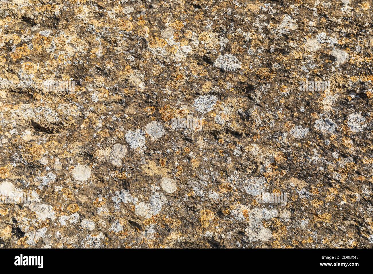 Texture of old stone covered with moss and stains Stock Photo - Alamy