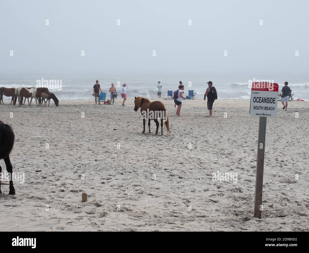 Assateague Island National Seashore Stock Photo - Alamy