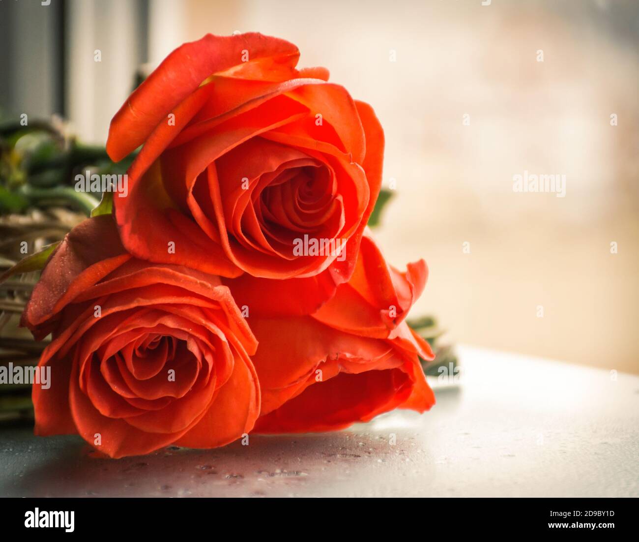 bouquet of natural three red roses Stock Photo - Alamy