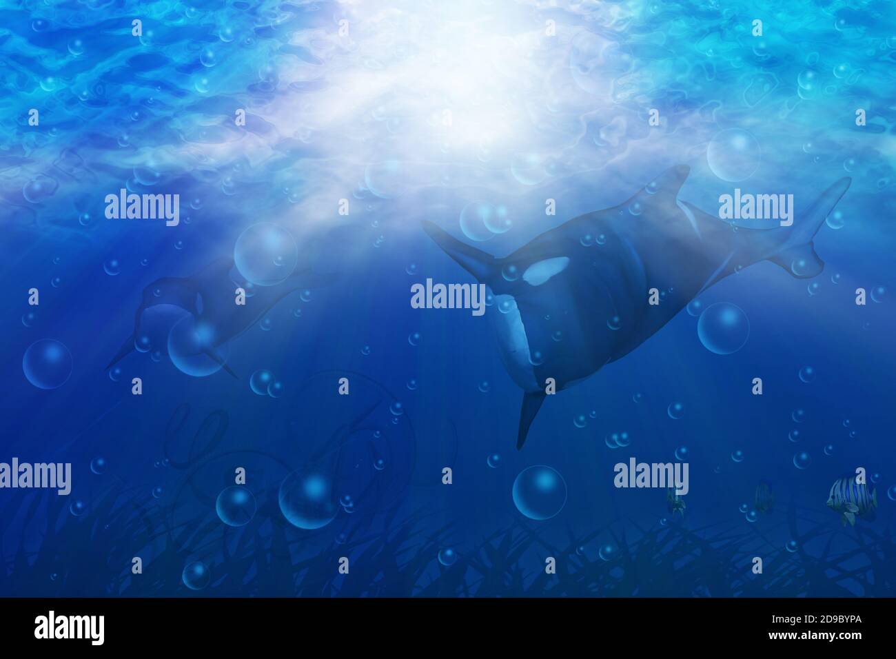 Dark blue underwater scene with 3d rendered orca, killer whale. 3d ...