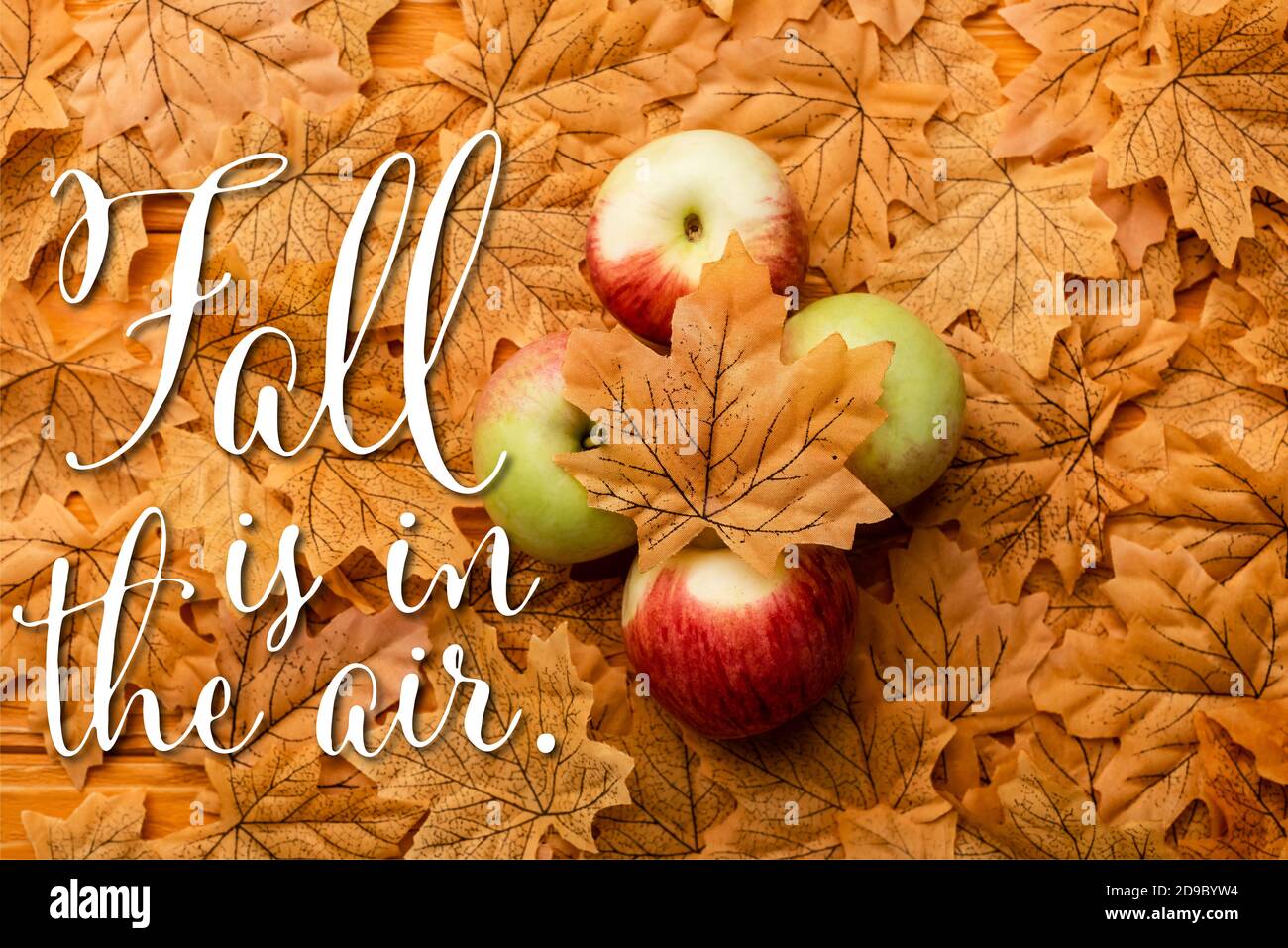 top view of ripe tasty apples and autumnal foliage near fall is in the ...