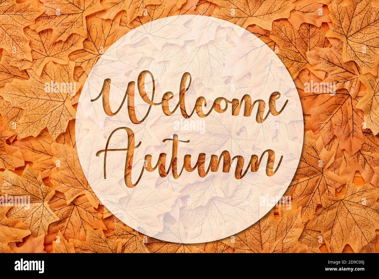 top view of golden autumnal leaves near welcome autumn lettering Stock ...