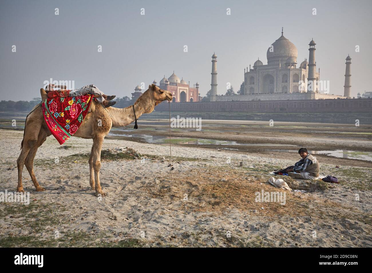 Agra, India, January 2009. Two people with a camel rest in front of the ...