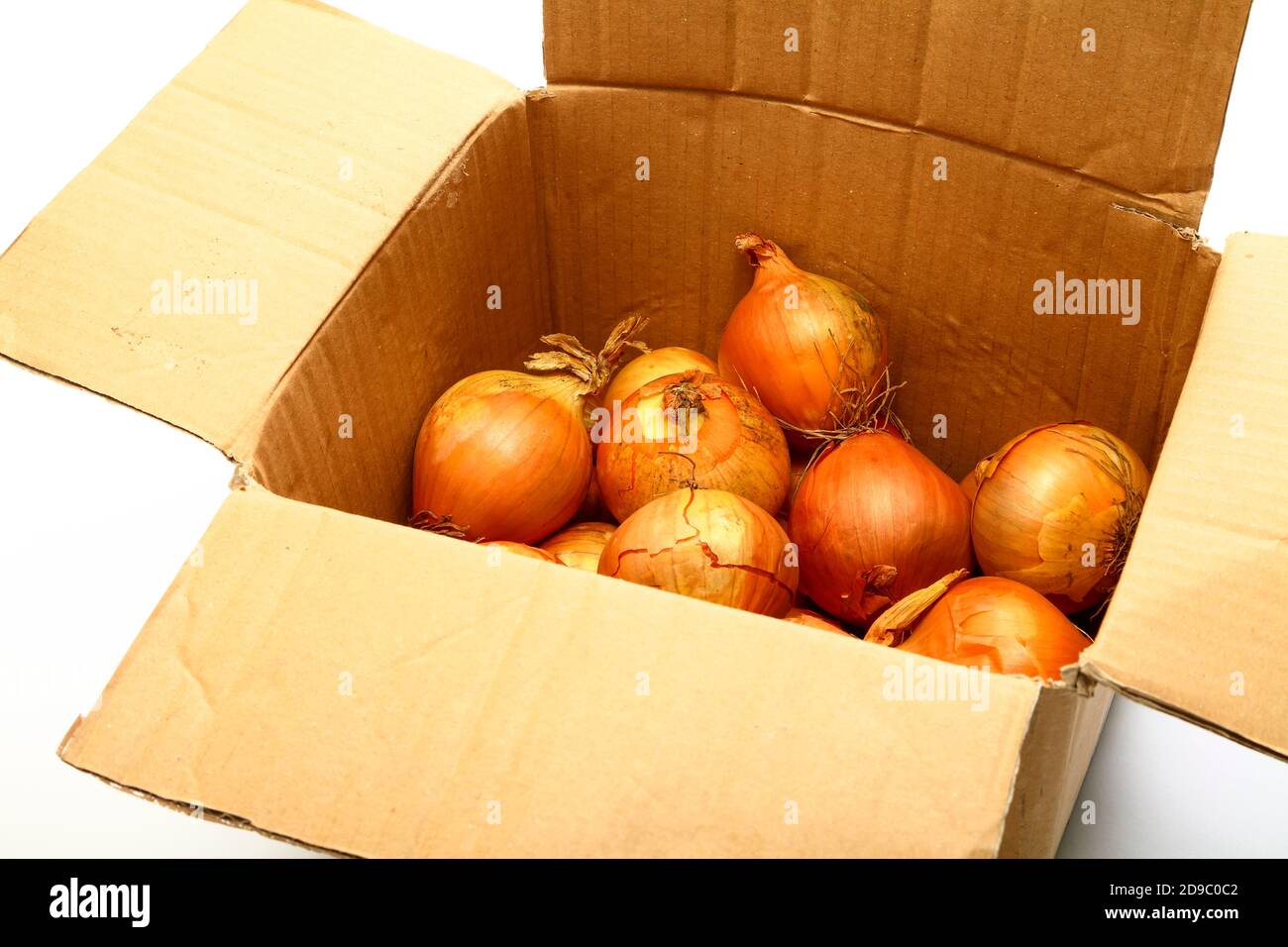 Cardboard box filled with onions Allium Cepa isolated on a white ...