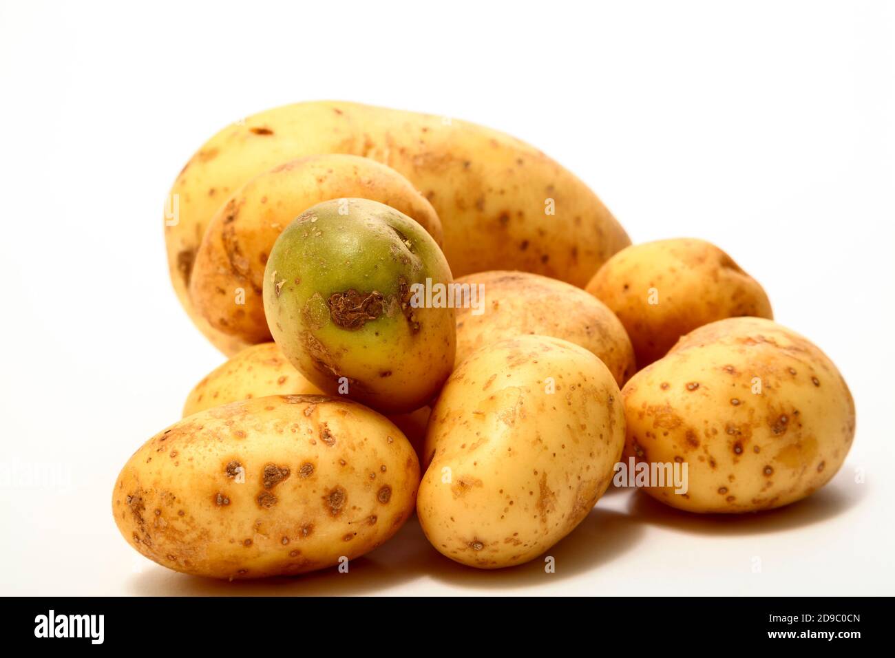 Solanine potato hi-res stock photography and images - Alamy