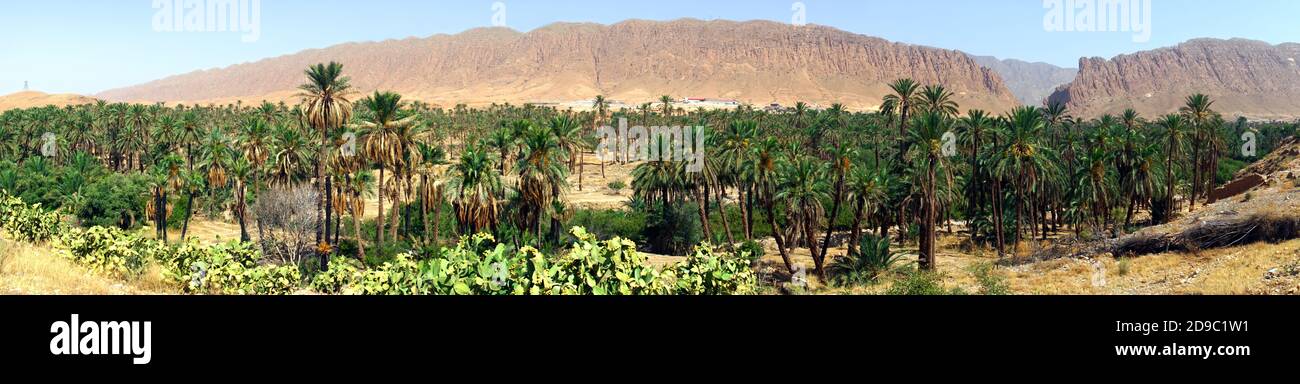 The date palm grove in El Kantara near Biskra, Algeria Stock Photo - Alamy