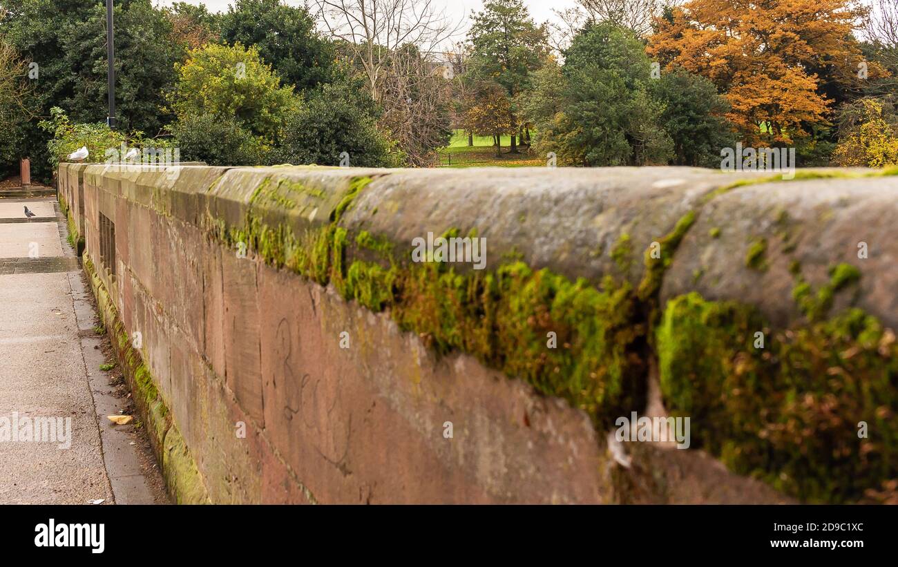Shot of a short brick wall in the garden Stock Photo - Alamy