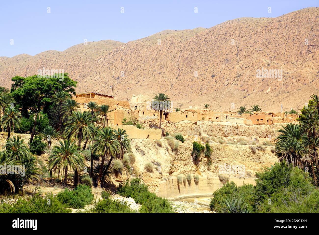 El kantara algeria africa hi-res stock photography and images - Alamy