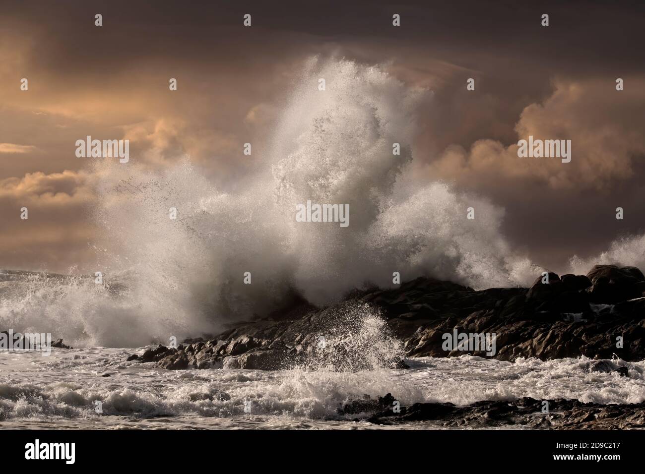 Big wave splash in a northern Portugal rocky beach at sunset. Enhanced ...