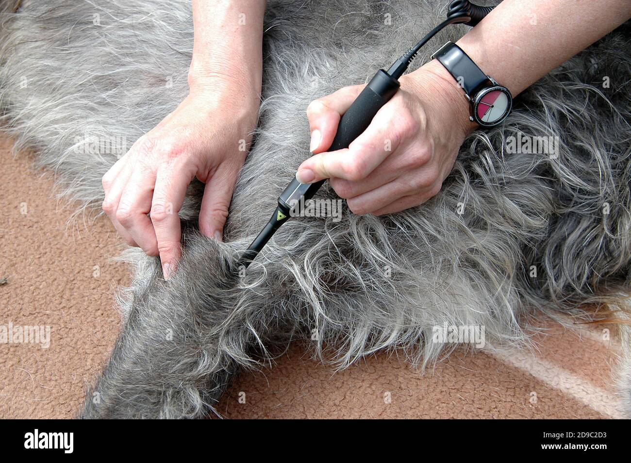 Human joint hi-res stock photography and images - Alamy