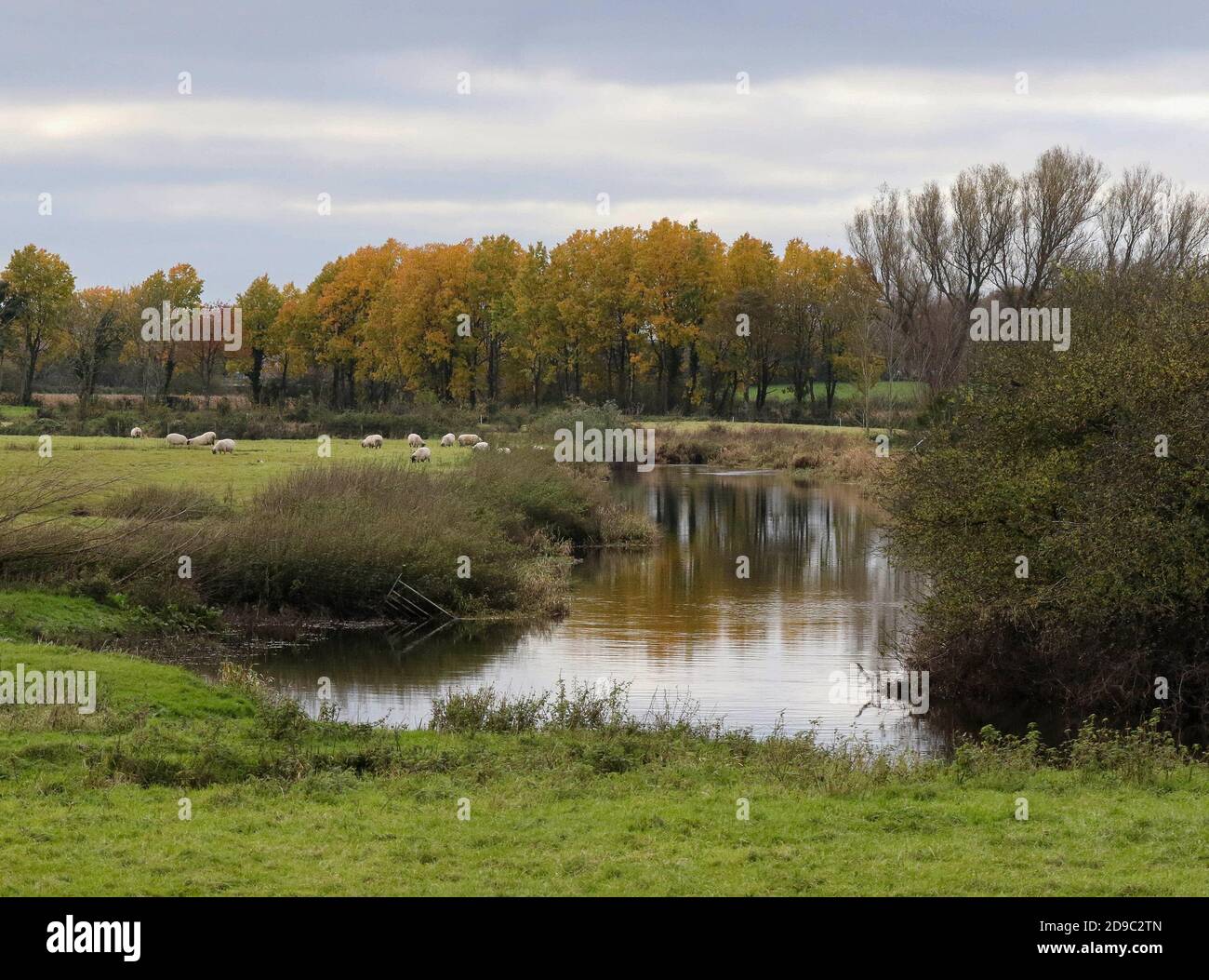 Moira river hi-res stock photography and images - Alamy