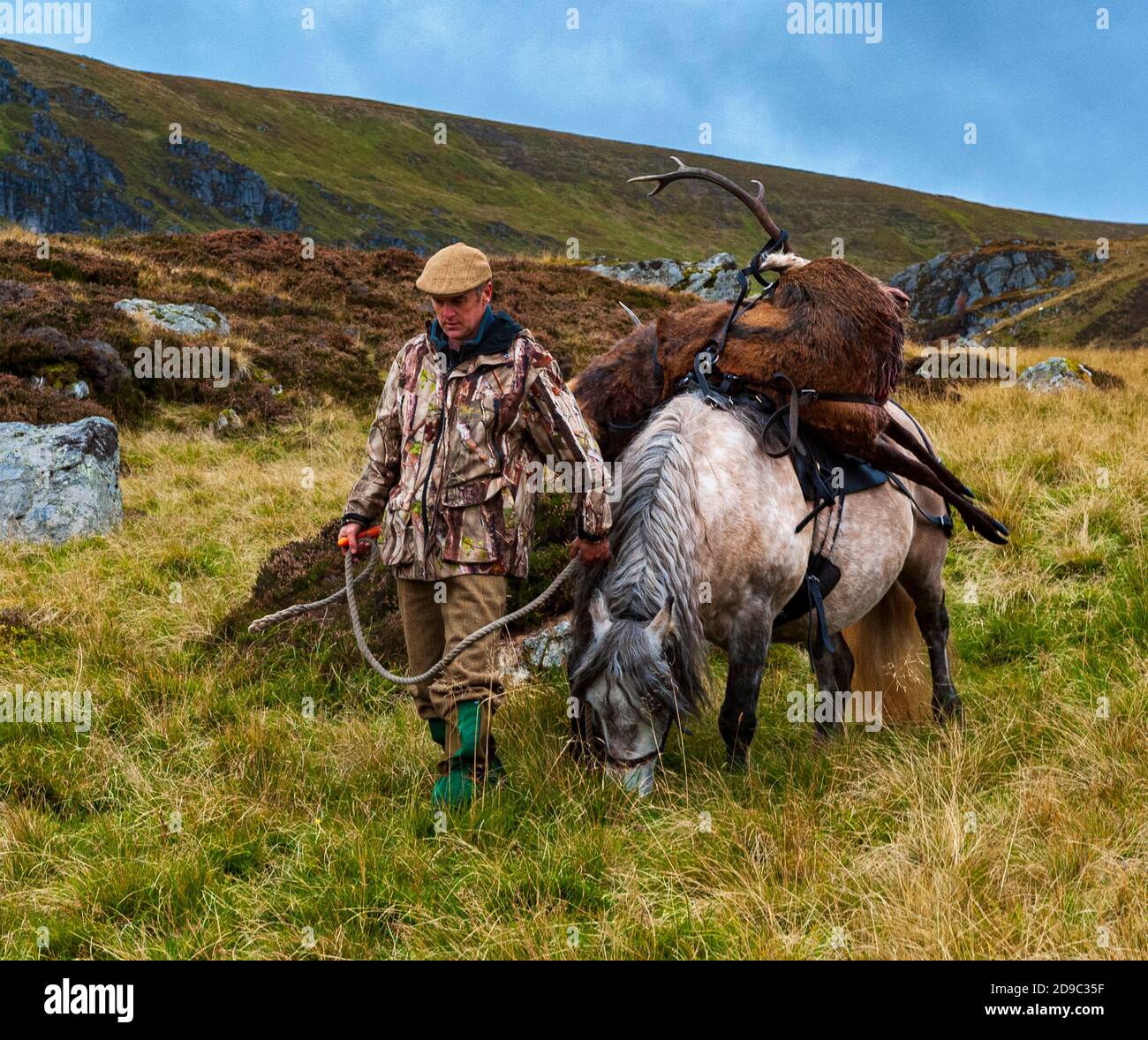 Horse carrying stag hi-res stock photography and images - Alamy