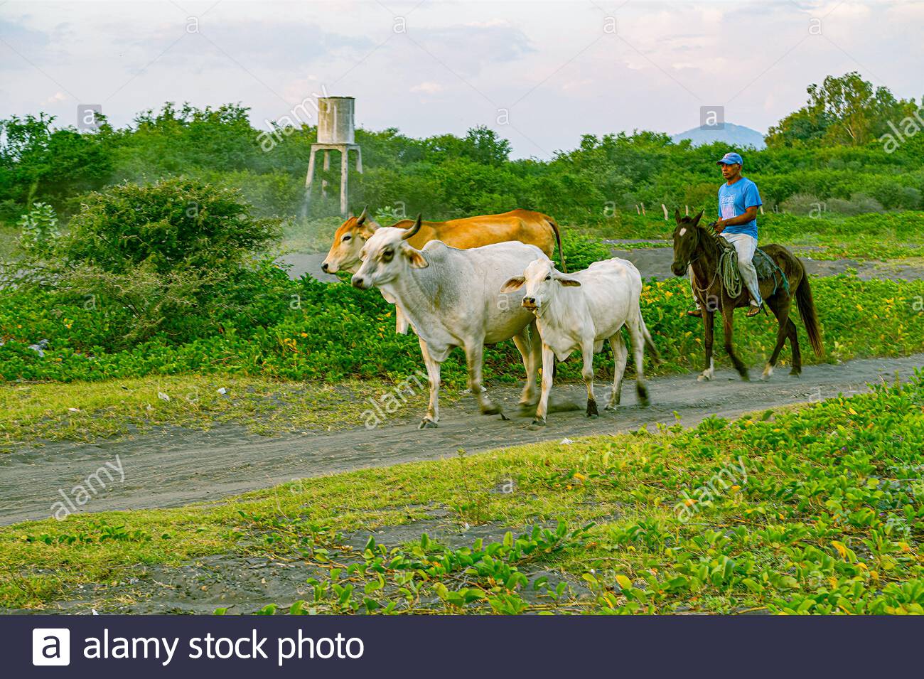 Tower Of Brahma High Resolution Stock Photography and Images - Alamy
