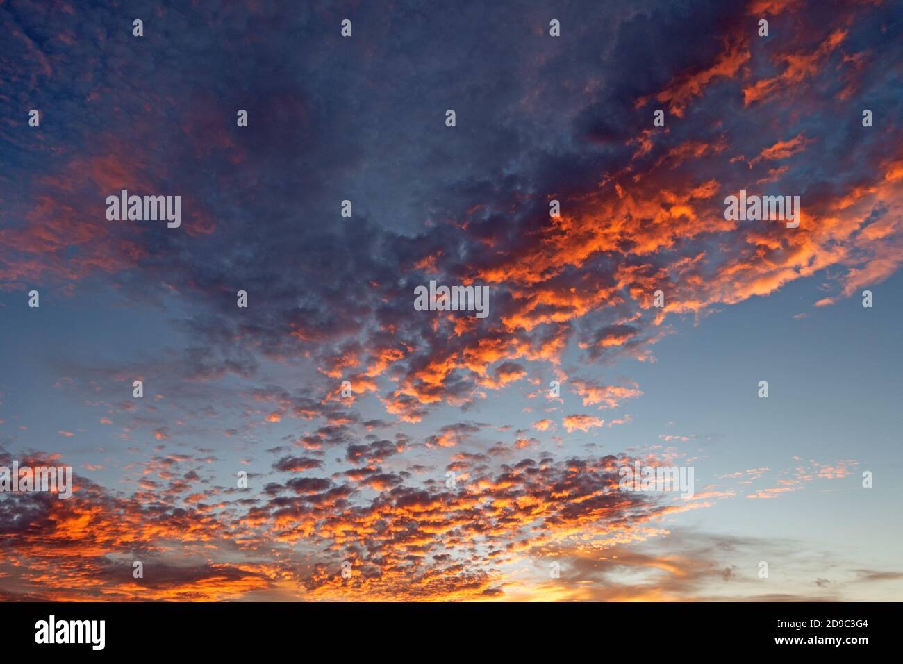 Afterglow, sky with altocumulus clouds Stock Photo - Alamy