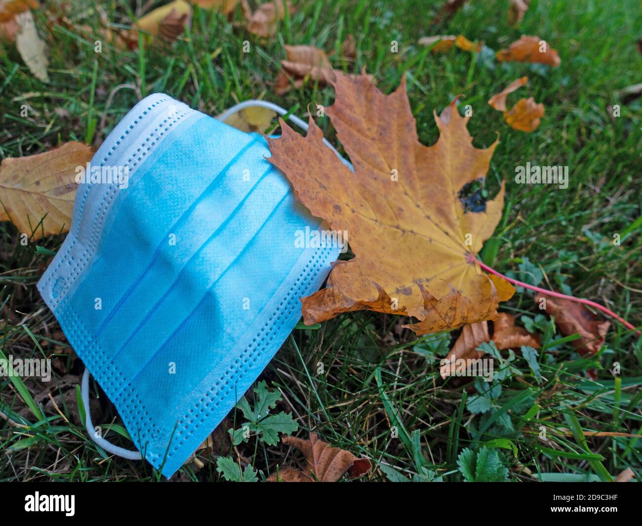 Masks of leaves hi-res stock photography and images - Alamy