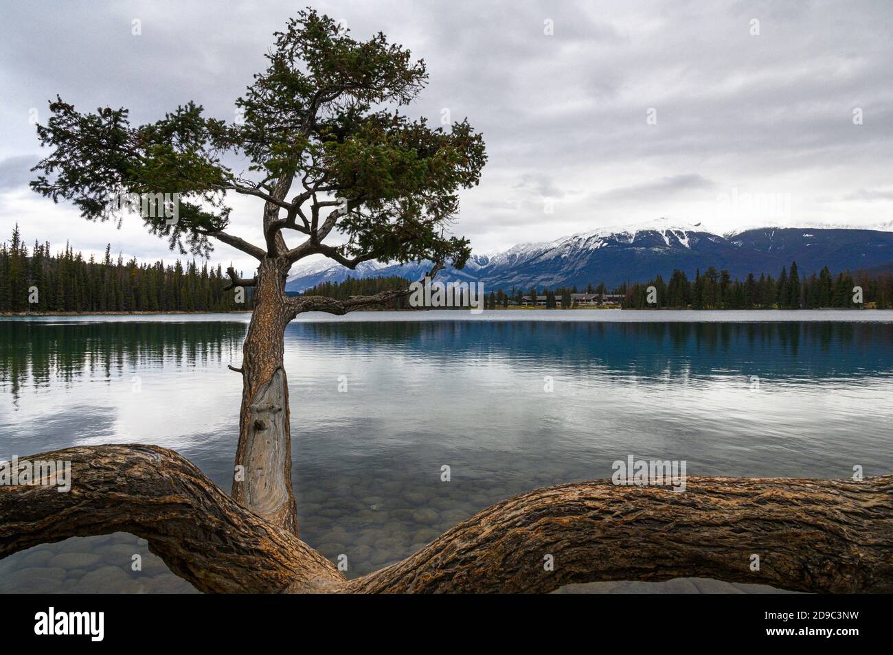 Jasper park lodge hi-res stock photography and images - Alamy